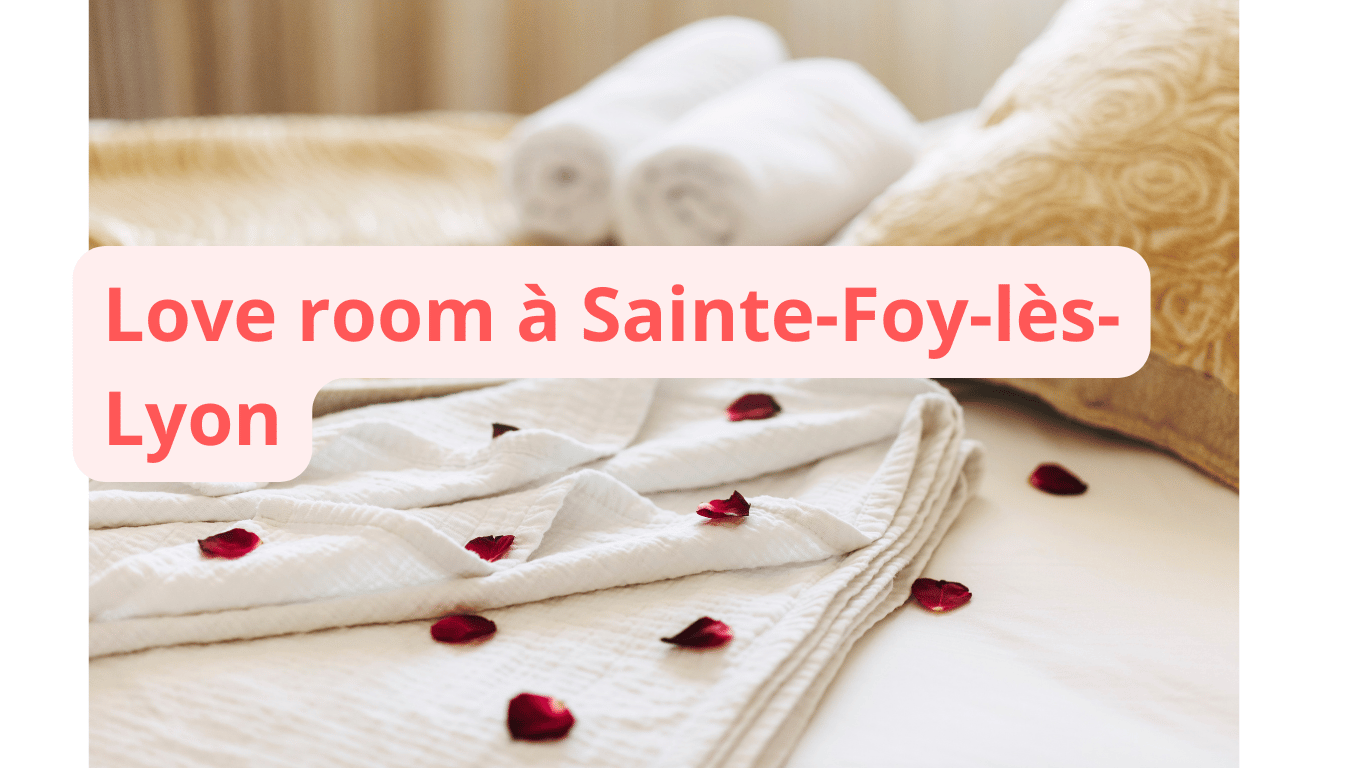 Love room à Sainte-Foy-lès-Lyon